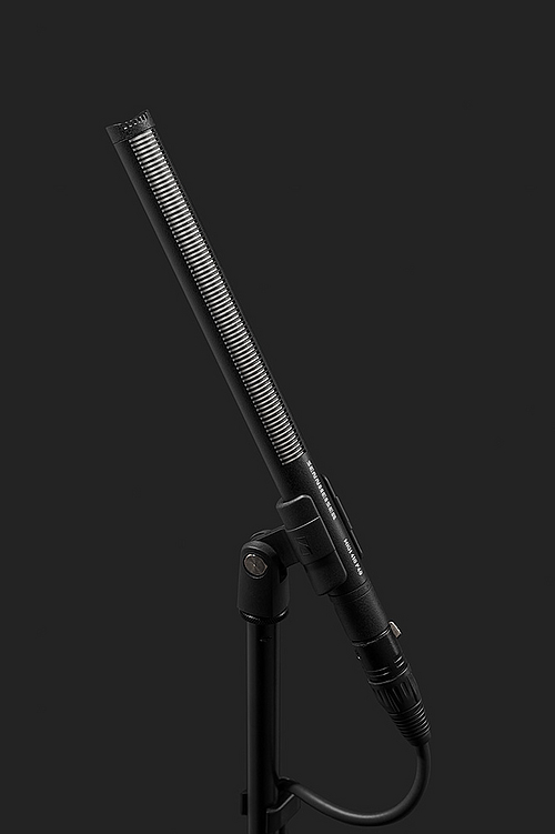 Echoschall-Sound Equipment Rental: Sennheiser MKH416 Shotgun Mic